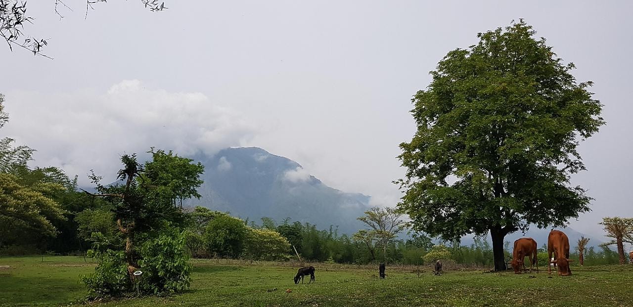 Photos of River Valley Resorts - Resort in Masinagudi