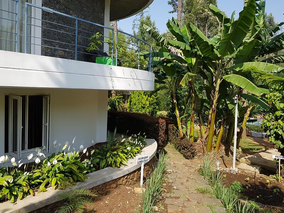 Photos of WOW Bison Woods (Organic Resort) - Resort in Yercaud