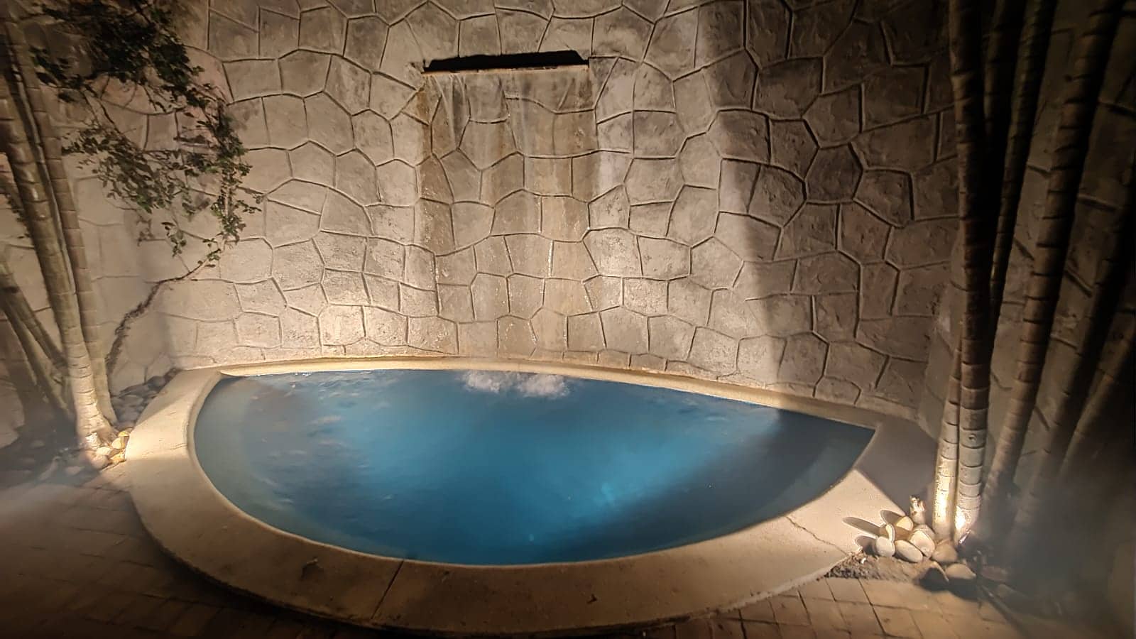 Celestia Suites-Leonia Holistic Destination 𝗕𝗢𝗢𝗞 Hyderabad Resort 𝘄𝗶𝘁𝗵 ...