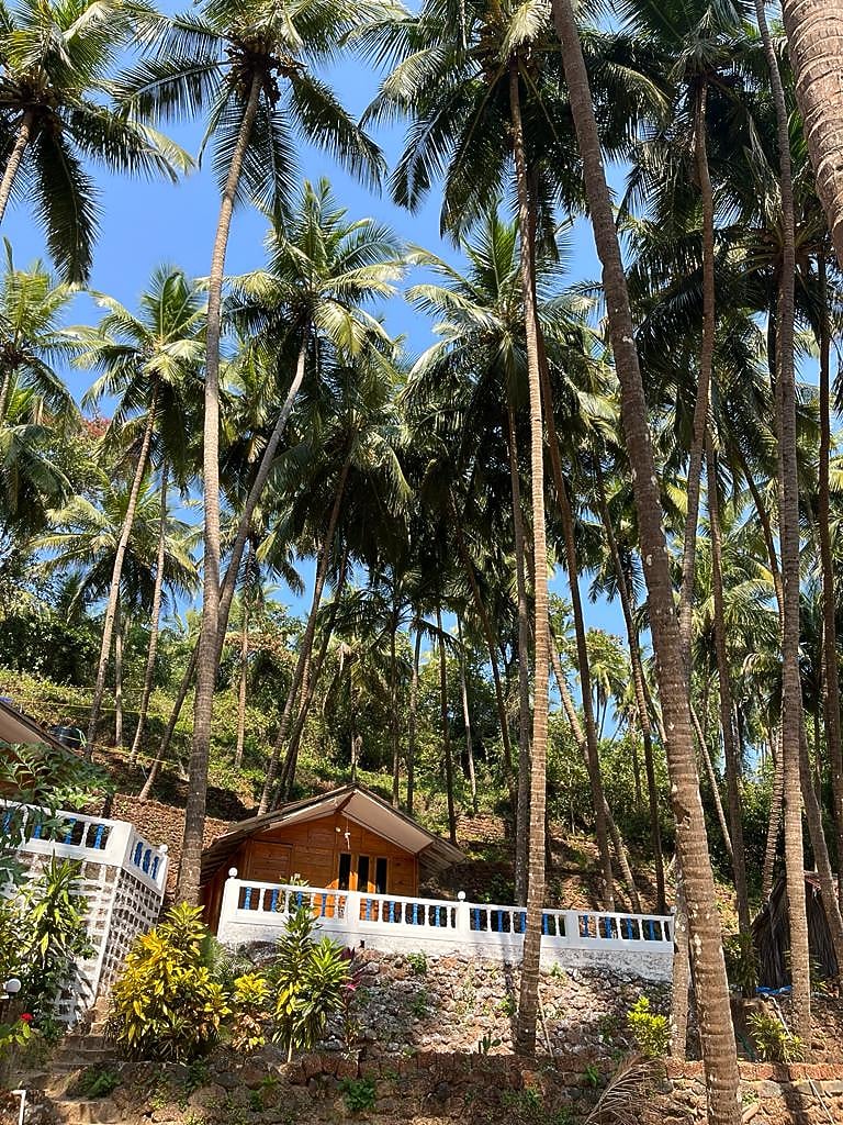 Cola Beach Sunset Bay 𝗕𝗢𝗢𝗞 Goa Cottage 𝘄𝗶𝘁𝗵 ₹𝟬 𝗣𝗔𝗬𝗠𝗘𝗡𝗧