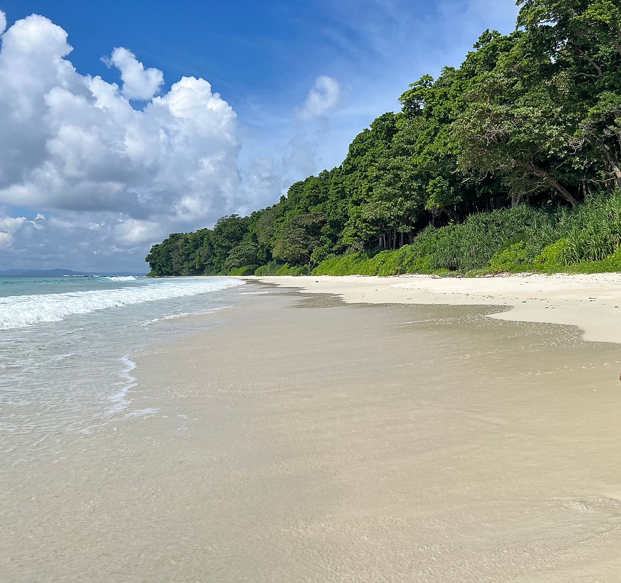 Barefoot at Havelock 𝗕𝗢𝗢𝗞 Havelock Resort 𝘄𝗶𝘁𝗵 𝗙𝗥𝗘𝗘 𝗖𝗮𝗻𝗰𝗲𝗹𝗹𝗮𝘁𝗶𝗼𝗻