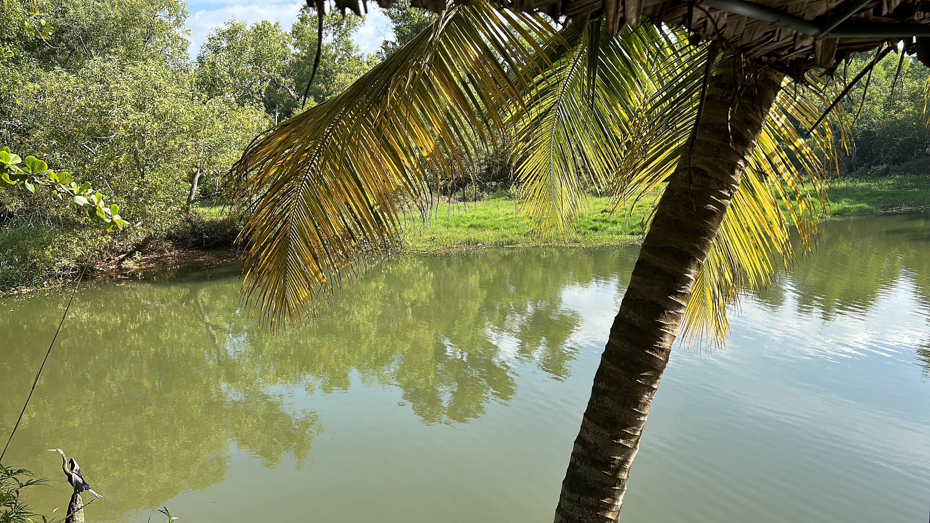 Photos of Lara Lake View Resort - Resort in Kovalam and Poovar