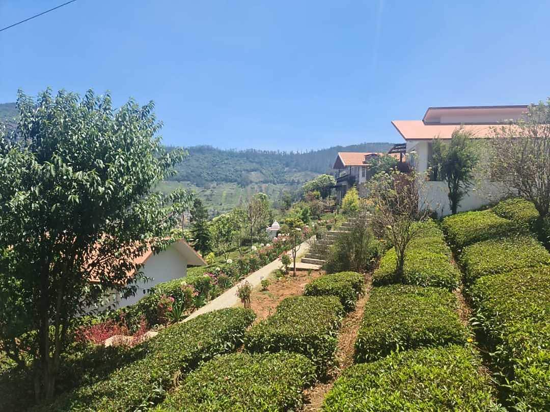 The Nettle & Fern Farmstay 𝗕𝗢𝗢𝗞 Pelling Resort 𝘄𝗶𝘁𝗵 𝗙𝗥𝗘𝗘 𝗖𝗮𝗻𝗰𝗲𝗹𝗹𝗮𝘁𝗶𝗼𝗻