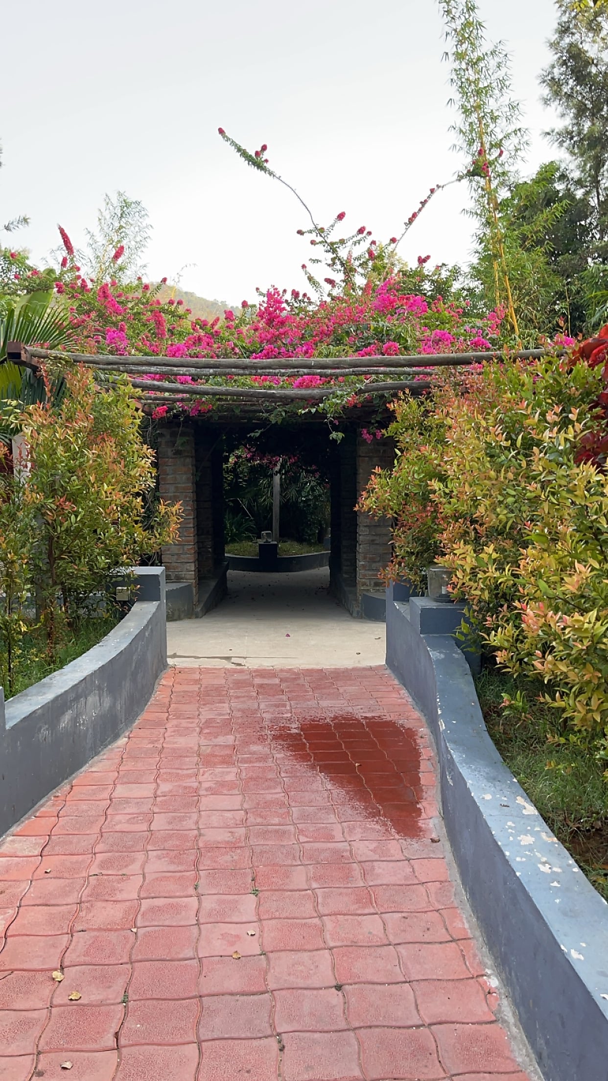 Aara Jungle Resort 𝗕𝗢𝗢𝗞 METTUPALAYAM Resort 𝘄𝗶𝘁𝗵 𝗙𝗥𝗘𝗘 𝗖𝗮𝗻𝗰𝗲𝗹𝗹𝗮𝘁𝗶𝗼𝗻