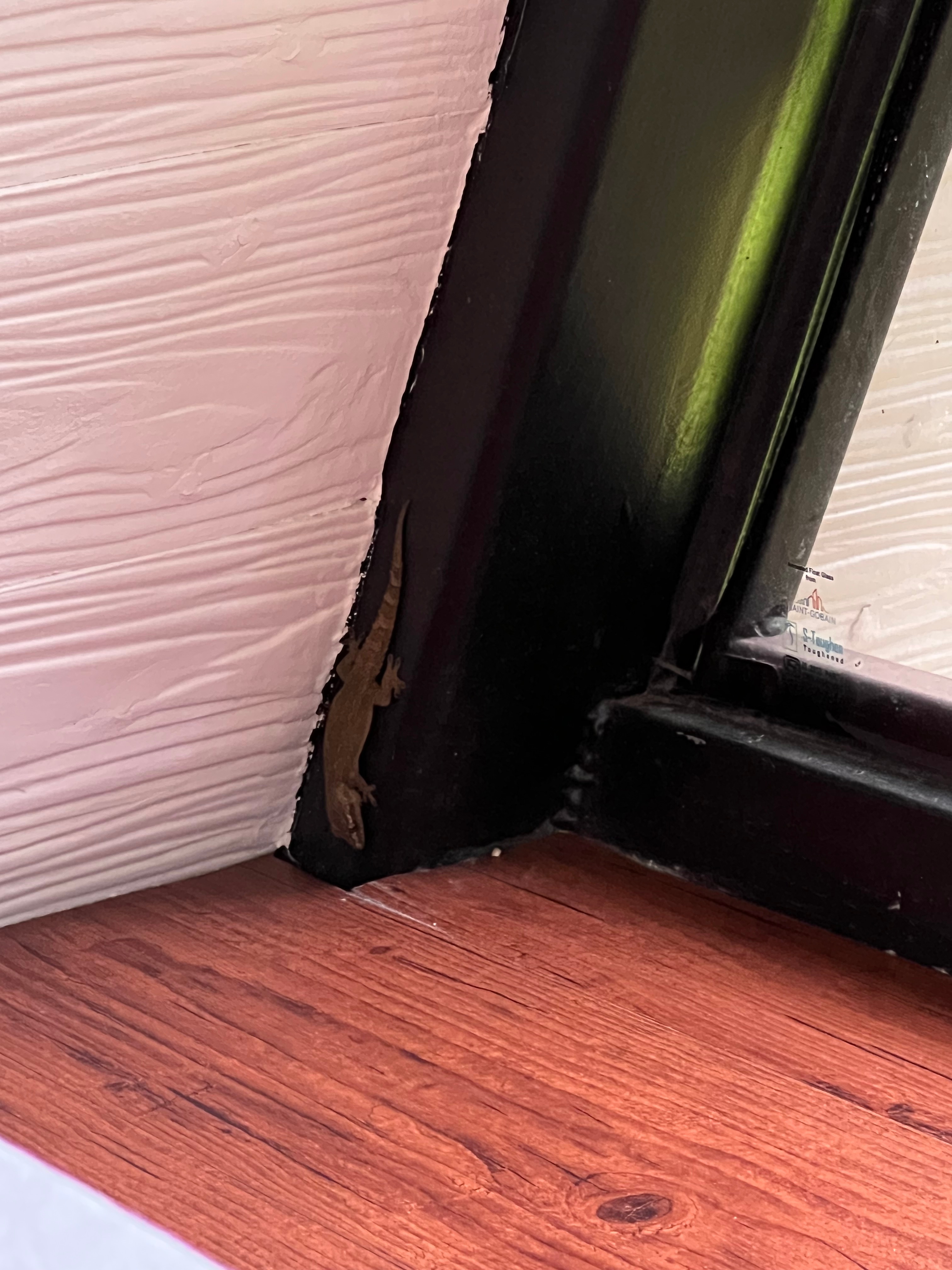 Inika Resort 𝗕𝗢𝗢𝗞 Coorg Resort 𝘄𝗶𝘁𝗵 𝗙𝗥𝗘𝗘 𝗖𝗮𝗻𝗰𝗲𝗹𝗹𝗮𝘁𝗶𝗼𝗻