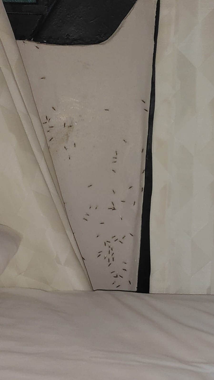 Photos of Inika Resort - Resort in Coorg