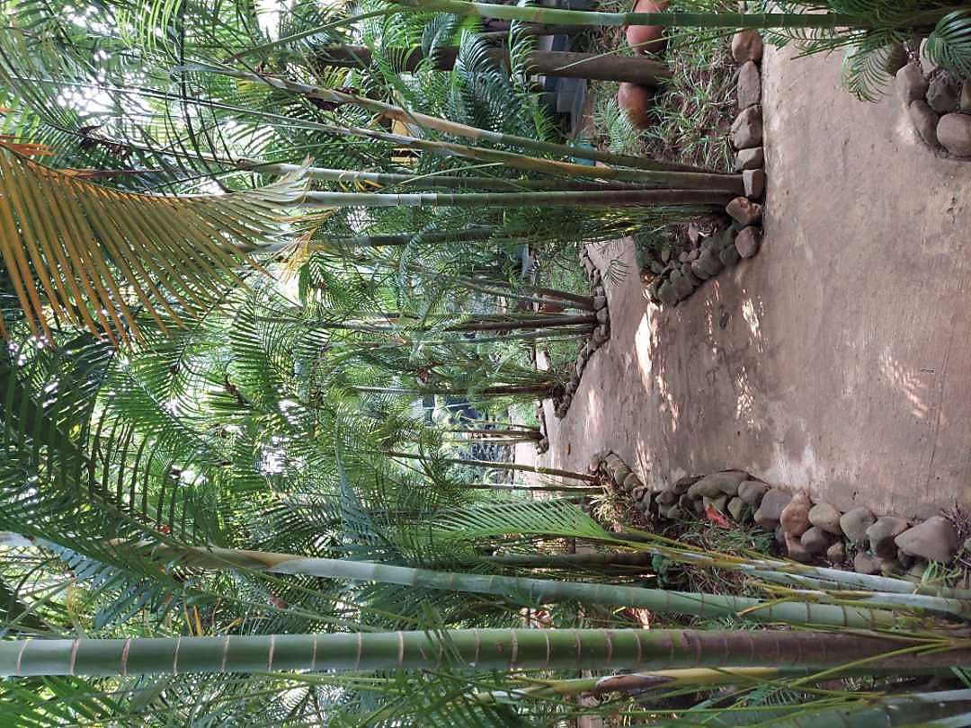 Sea Shades Palolem Resort | Goa Resort BOOK @ ₹1