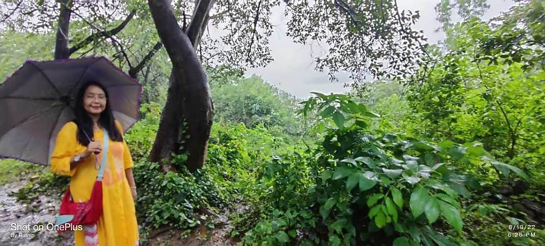 MTDC Panshet | Lavasa Hotel BOOK @ ₹1