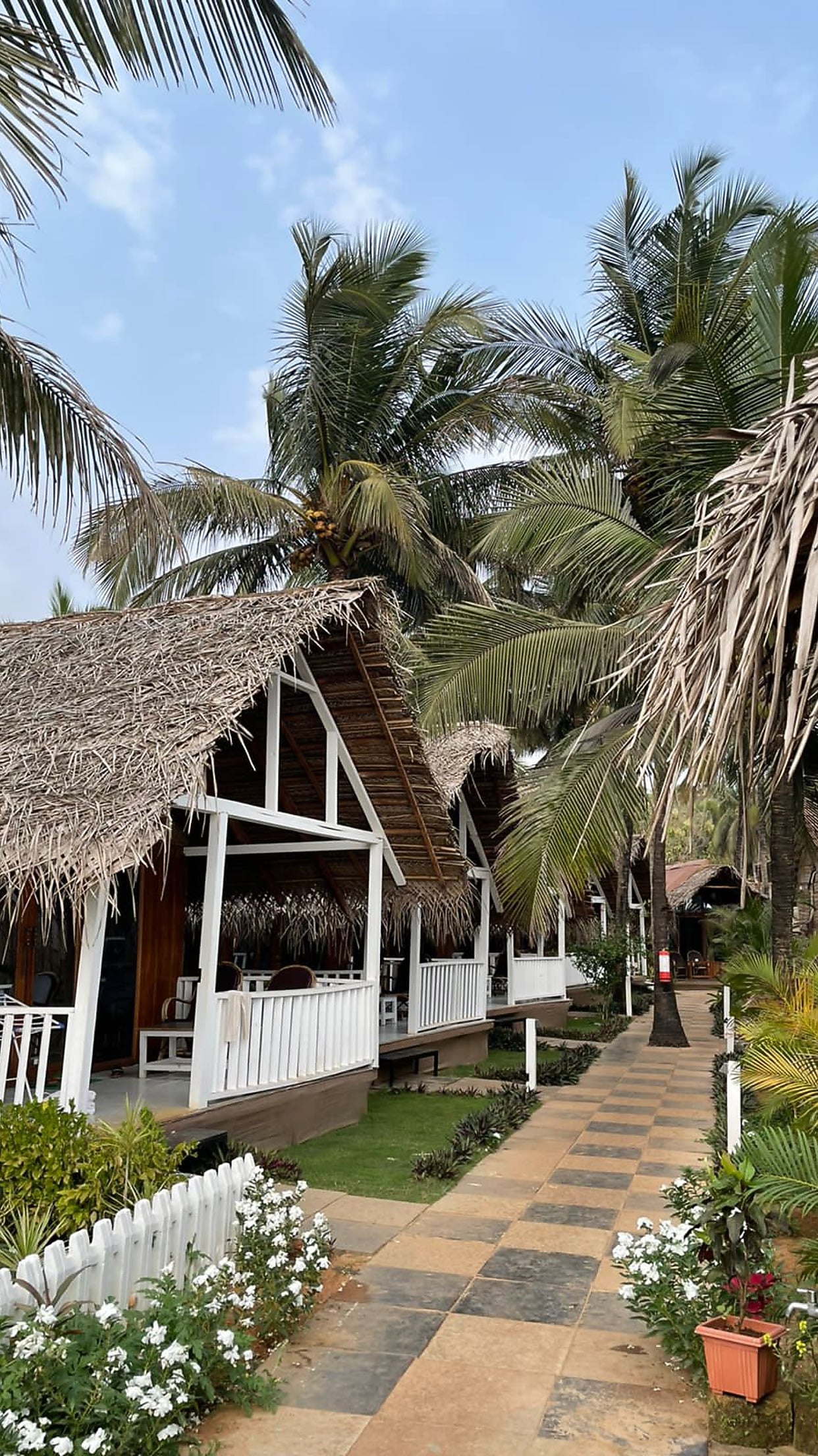 Agonda Shell Beach Resort| Luxe Cottages 𝗕𝗢𝗢𝗞 Goa Cottage 𝘄𝗶𝘁𝗵 𝗙𝗥𝗘𝗘 ...