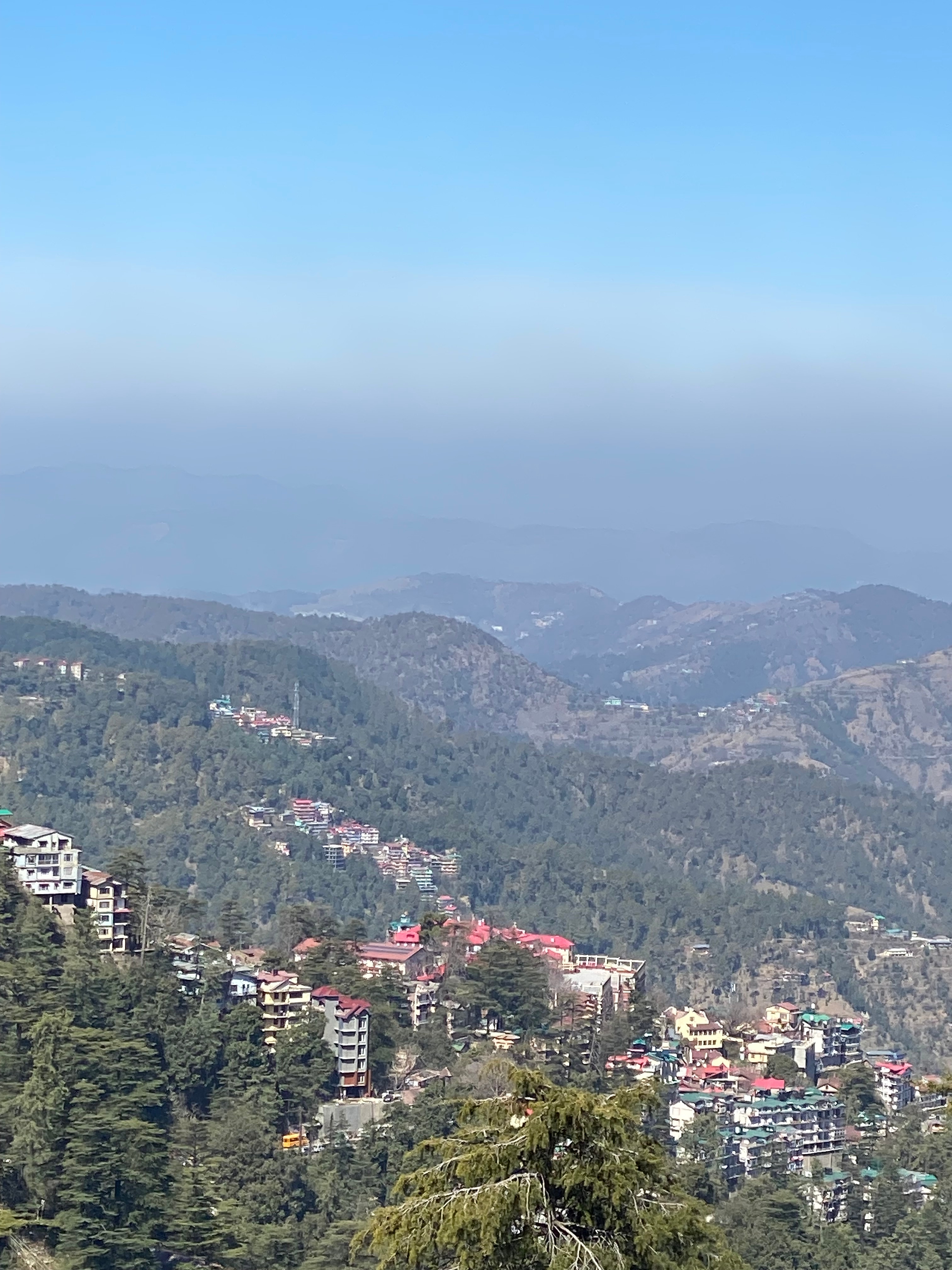 Reviews of Summit Le Royale - Hotel in Shimla
