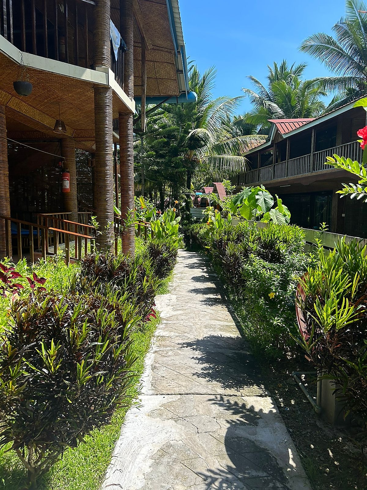 Blue Bird Resort 𝗕𝗢𝗢𝗞 Havelock Resort 𝘄𝗶𝘁𝗵 ₹𝟬 𝗣𝗔𝗬𝗠𝗘𝗡𝗧