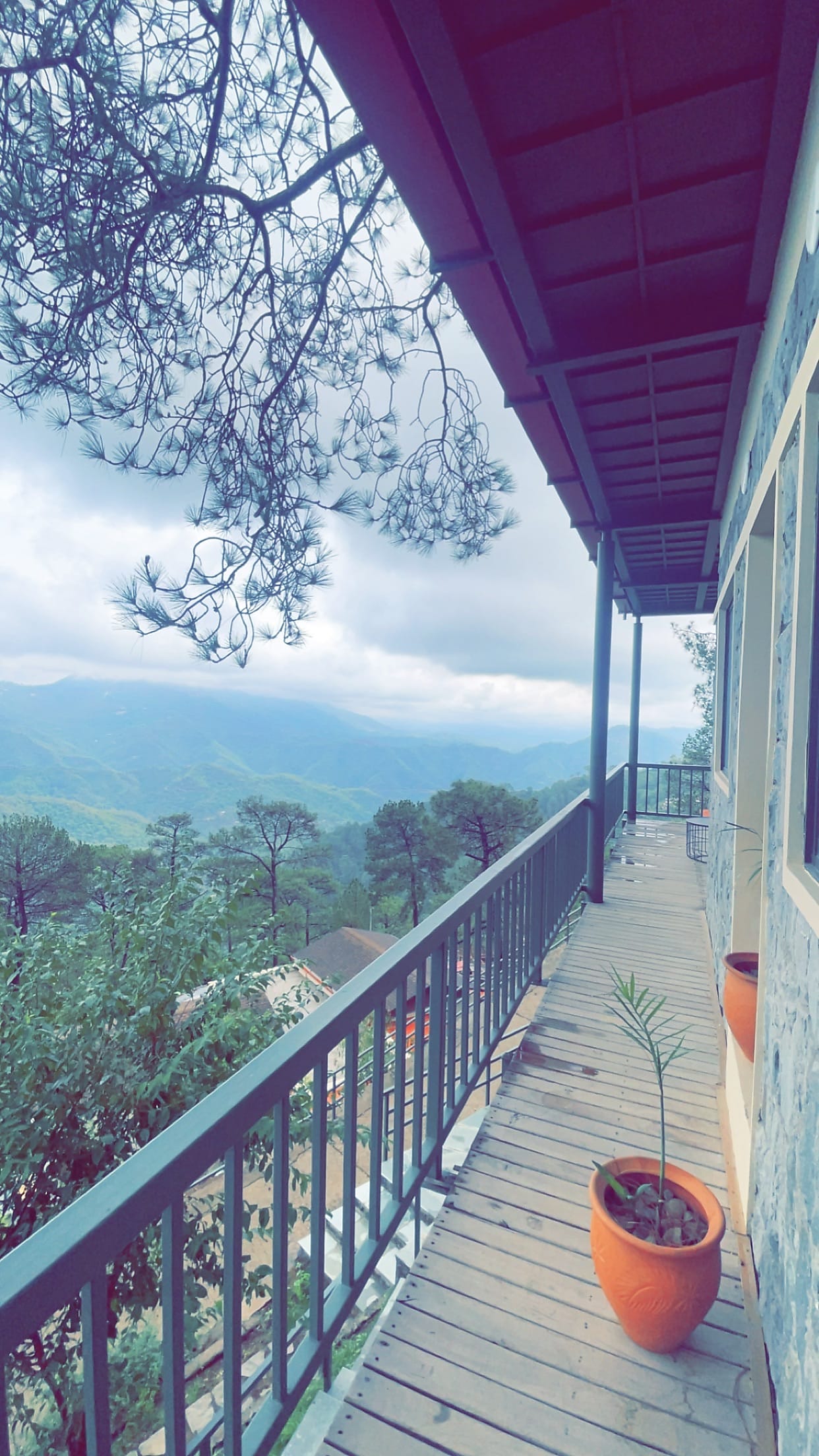 Storii by ITC Hotels The Kaba Retreat Solan 𝗕𝗢𝗢𝗞 Solan Hotel 𝘄𝗶𝘁𝗵 𝗙𝗥𝗘𝗘 ...