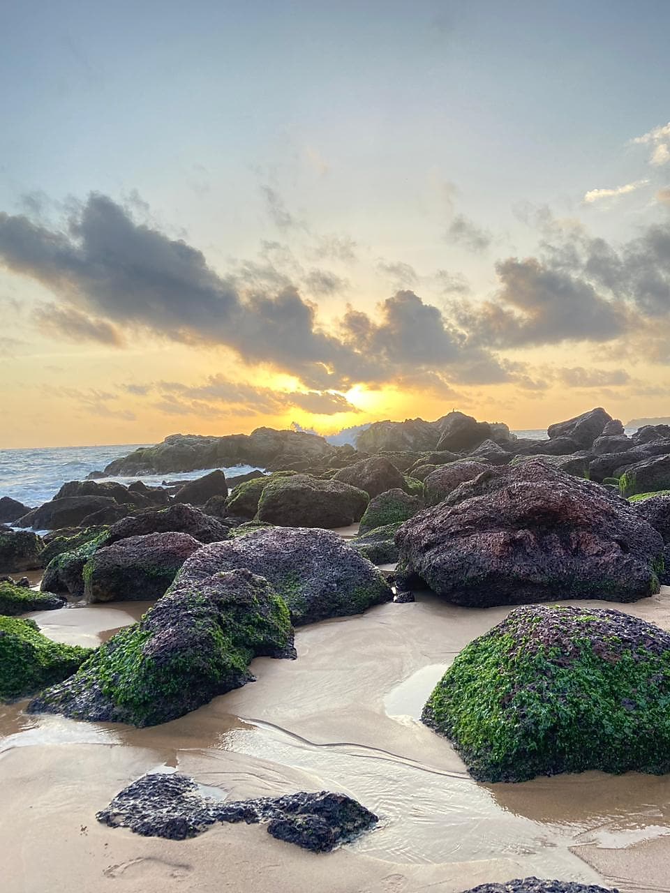 Photos of Soneca Cola Beach | Your Beach stay - Camp in Goa