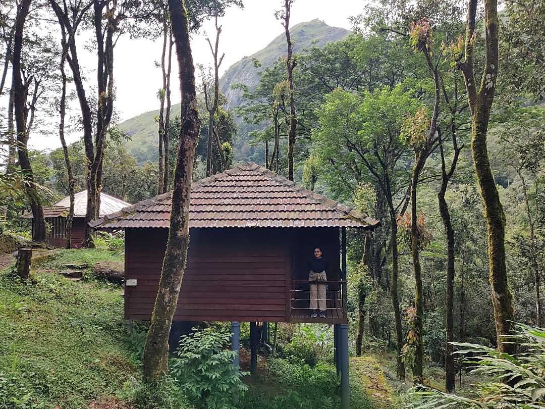 Lanternstay Jungle Resort | Wayanad Resort BOOK @ ₹1