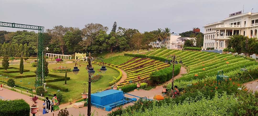 Emora Tree 𝗕𝗢𝗢𝗞 Mysore Hotel 𝘄𝗶𝘁𝗵 𝗙𝗥𝗘𝗘 𝗖𝗮𝗻𝗰𝗲𝗹𝗹𝗮𝘁𝗶𝗼𝗻