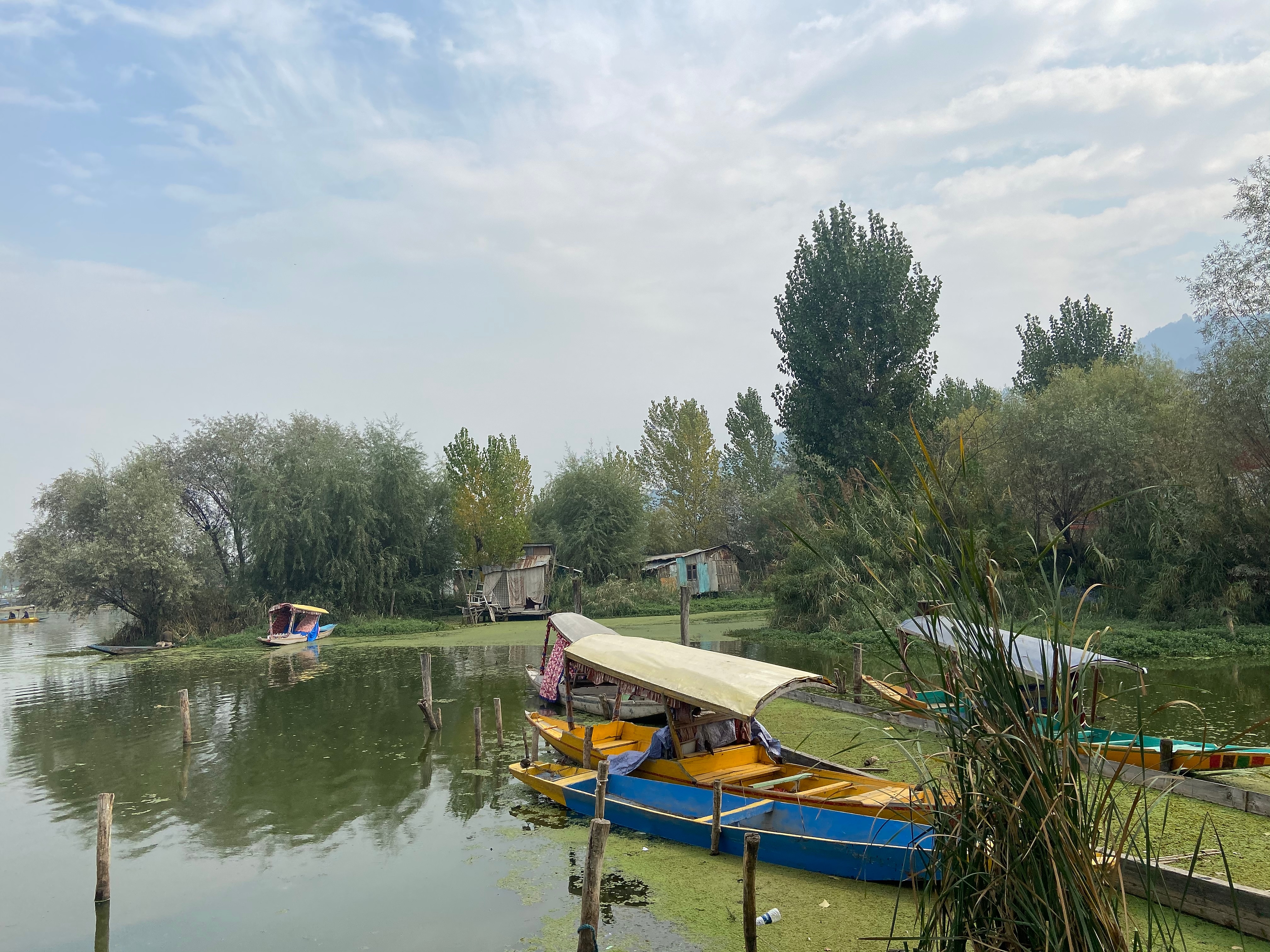 Photos of Hotel Chachoo Palace - Hotel in Srinagar