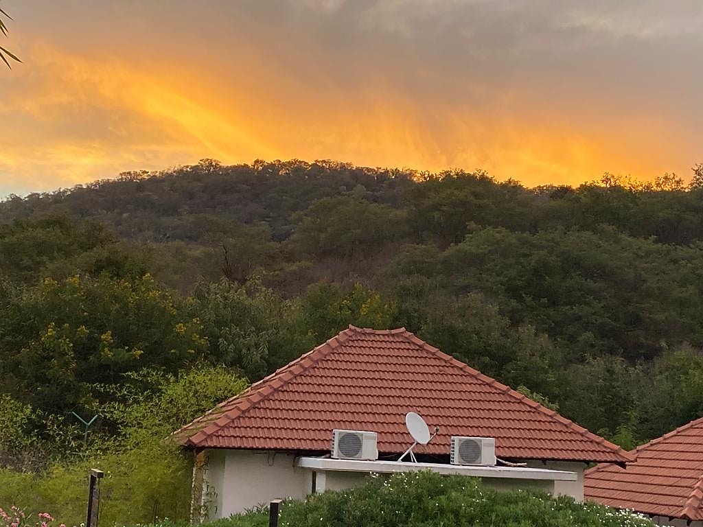 Aara Jungle Resort 𝗕𝗢𝗢𝗞 METTUPALAYAM Resort 𝘄𝗶𝘁𝗵 𝗙𝗥𝗘𝗘 𝗖𝗮𝗻𝗰𝗲𝗹𝗹𝗮𝘁𝗶𝗼𝗻