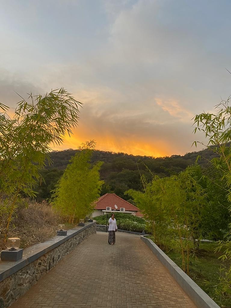 Aara Jungle Resort 𝗕𝗢𝗢𝗞 METTUPALAYAM Resort 𝘄𝗶𝘁𝗵 𝗙𝗥𝗘𝗘 𝗖𝗮𝗻𝗰𝗲𝗹𝗹𝗮𝘁𝗶𝗼𝗻