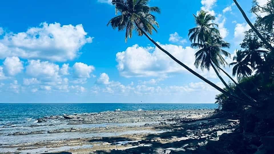 CS Empire 𝗕𝗢𝗢𝗞 Neil Island Hotel 𝘄𝗶𝘁𝗵 ₹𝟬 𝗣𝗔𝗬𝗠𝗘𝗡𝗧