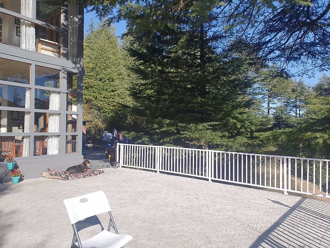 Deodar Manor | Mountain-view Rooms 𝗕𝗢𝗢𝗞 Khajjiar Villa 𝘄𝗶𝘁𝗵 ₹𝟬 𝗣𝗔𝗬𝗠𝗘𝗡𝗧