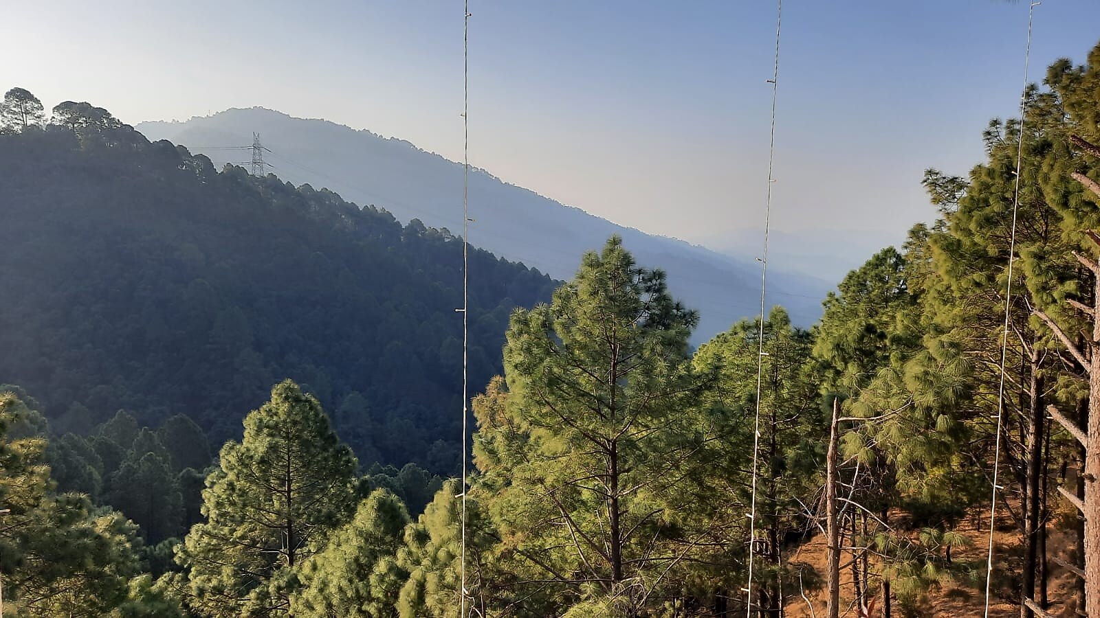 Red Roof Resort Lansdowne | Lansdowne BnB BOOK @ ₹1