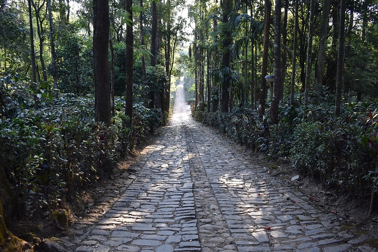 The Capitol Village Resort Coorg Resort Price, Address & Reviews