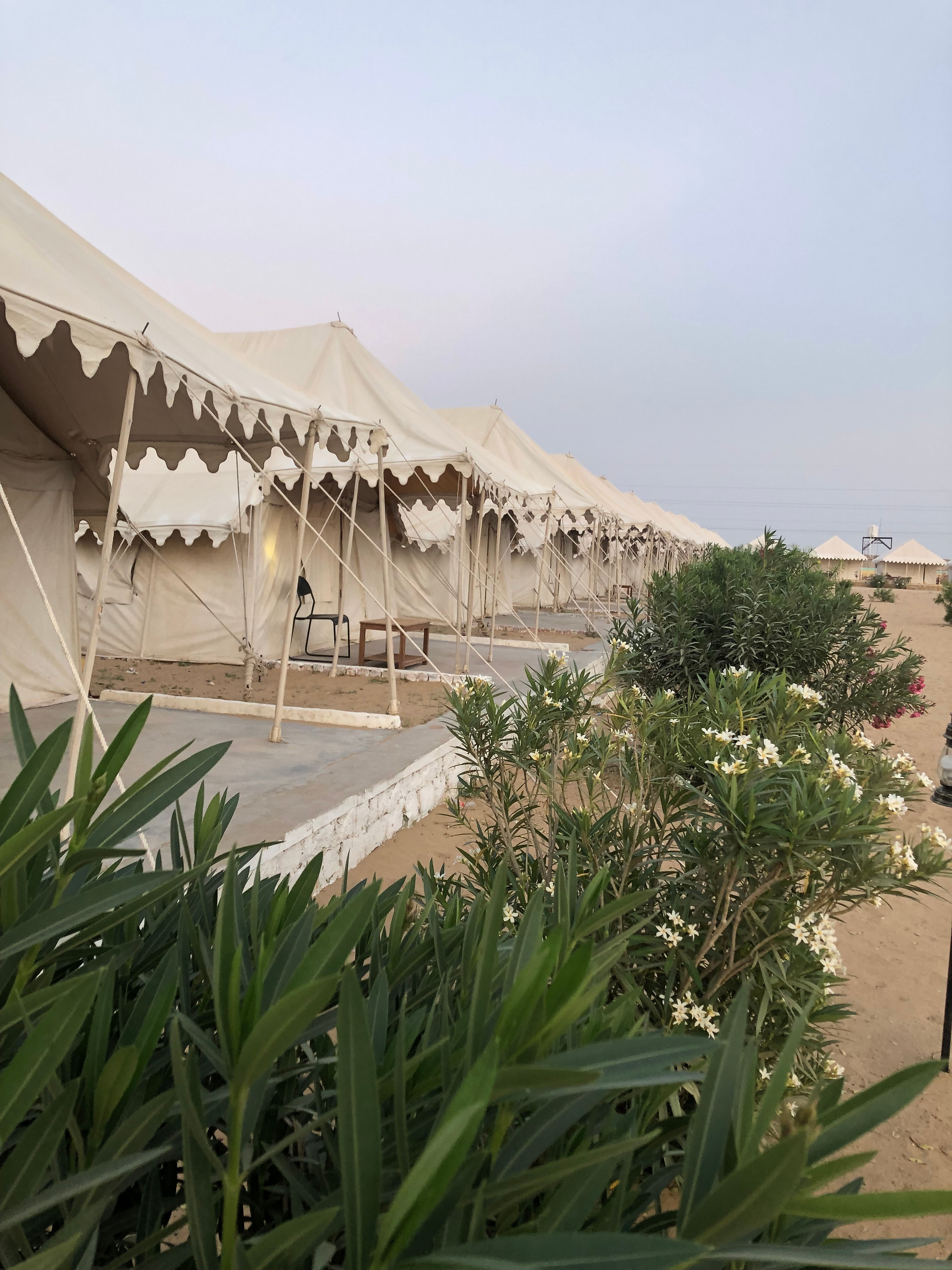 Janj Resort 𝗕𝗢𝗢𝗞 Jaisalmer Resort 𝘄𝗶𝘁𝗵 ₹𝟬 𝗣𝗔𝗬𝗠𝗘𝗡𝗧