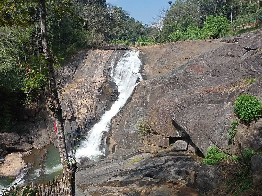 DAZZLE MOUNT RESORT 𝗕𝗢𝗢𝗞 Wayanad Resort 𝘄𝗶𝘁𝗵 ₹𝟬 𝗣𝗔𝗬𝗠𝗘𝗡𝗧