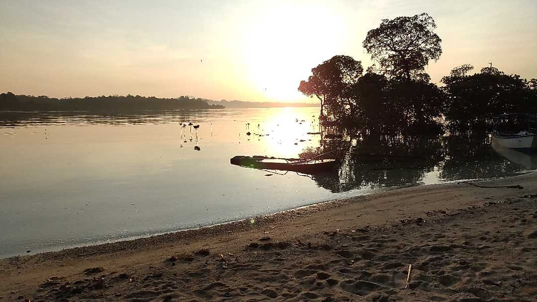 Photos of SUNDAZE BEACH RESORT - Resort in Havelock