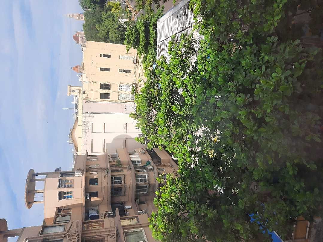 Hotel Suba Palace Best Rates on Mumbai Hotel Deals, Reviews & Photos