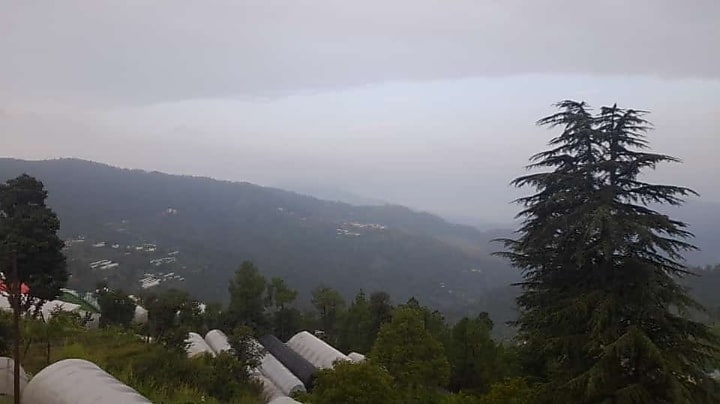 Photos of MOUNTAIN VIEW RESORT , CHAIL - Resort in Chail