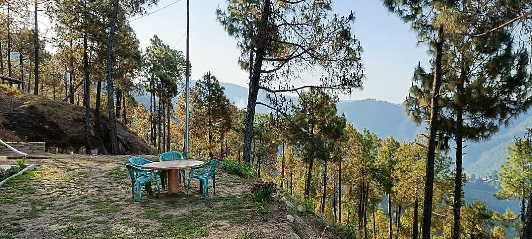 Photos of Binsar View Homestay - Guest House in Binsar