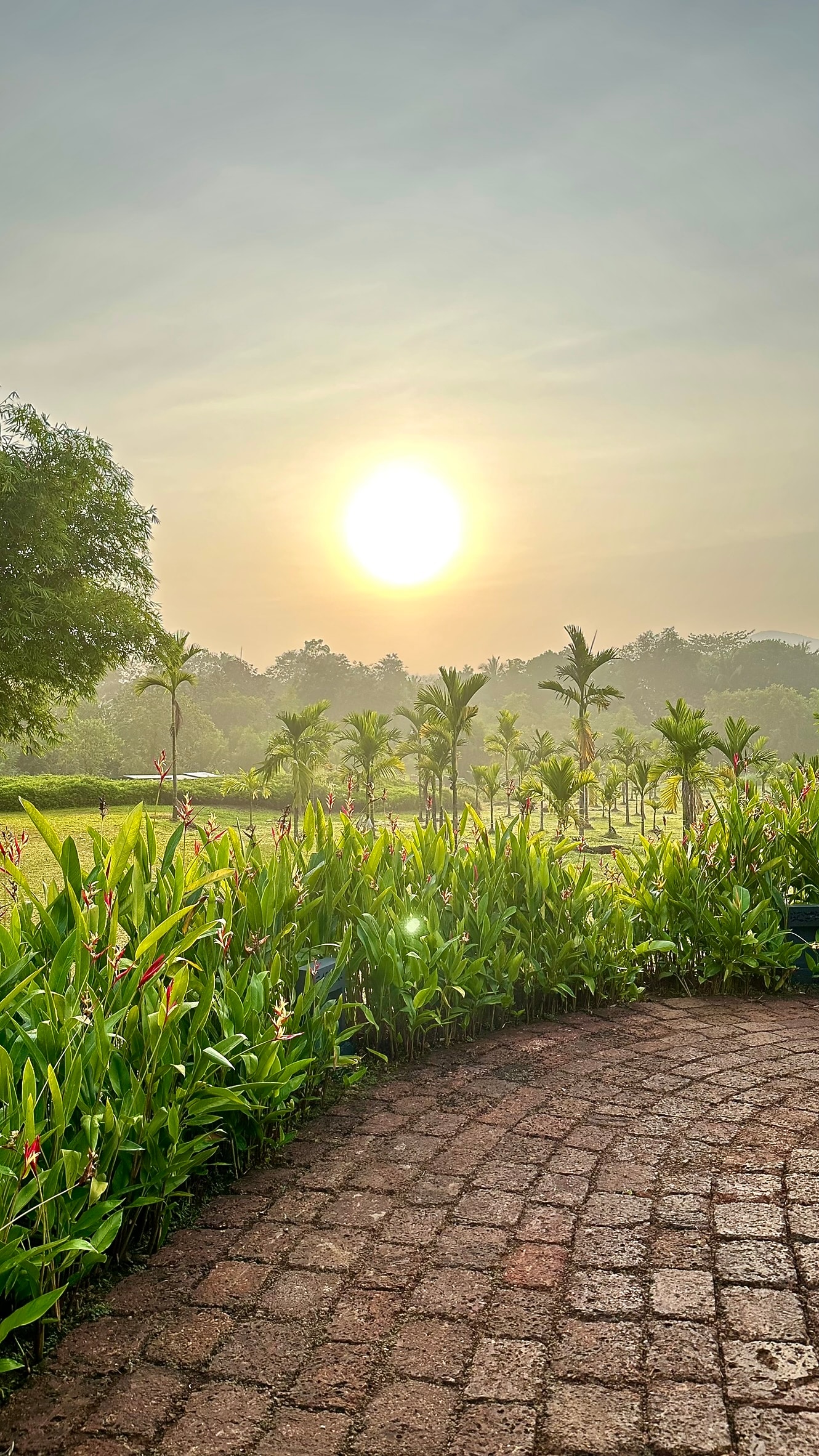 The Postcard Hideaway, Netravali, Goa 𝗕𝗢𝗢𝗞 Goa Resort 𝘄𝗶𝘁𝗵 ₹𝟬 𝗣𝗔𝗬𝗠𝗘𝗡𝗧