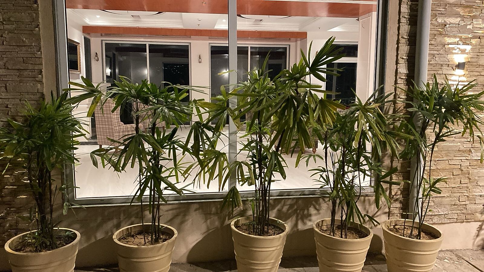 Photos of Astra Resort and Caffe - Resort in Kasauli