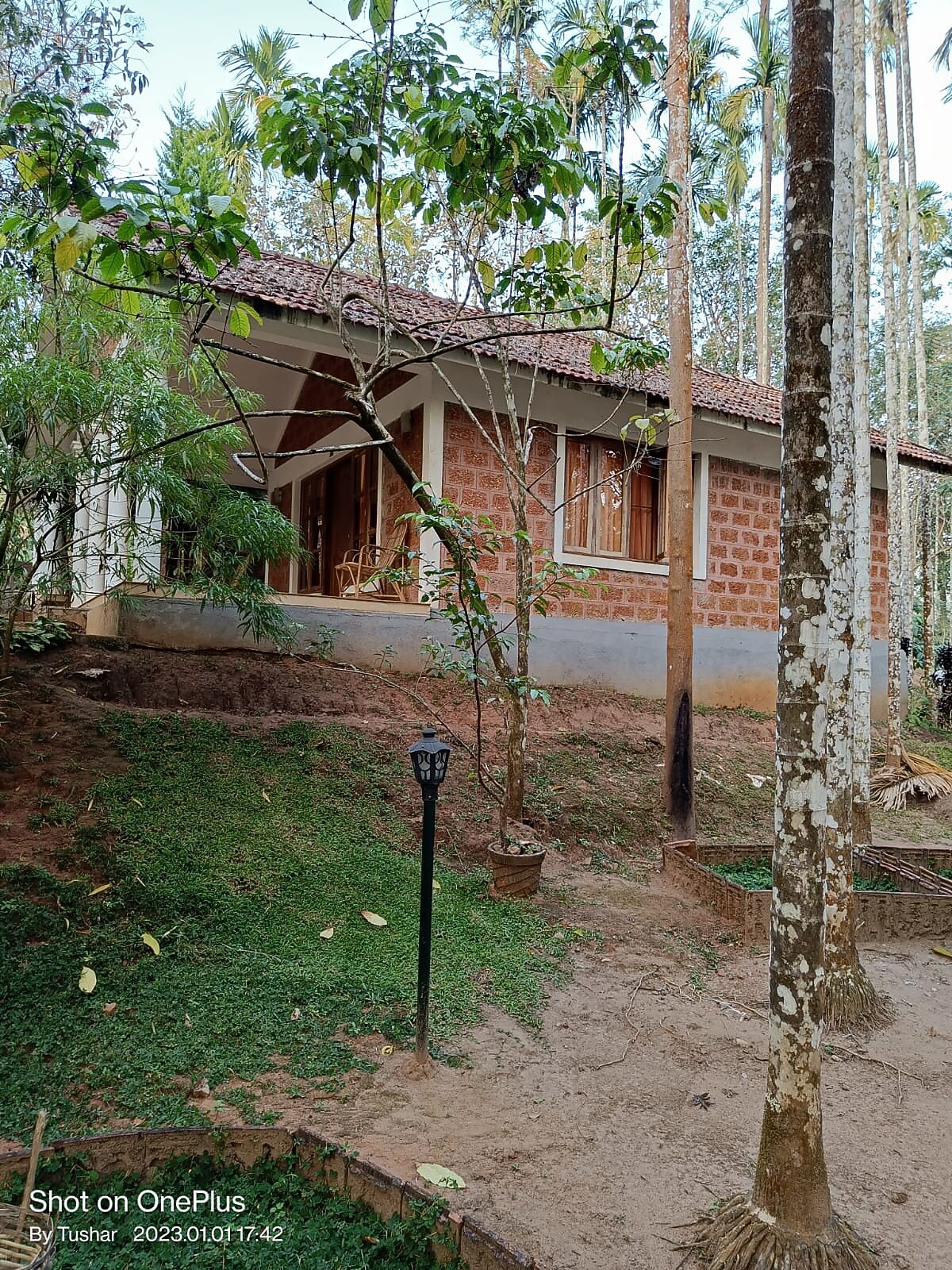 Orchid Trails Resort | Wayanad Resort BOOK @ ₹1