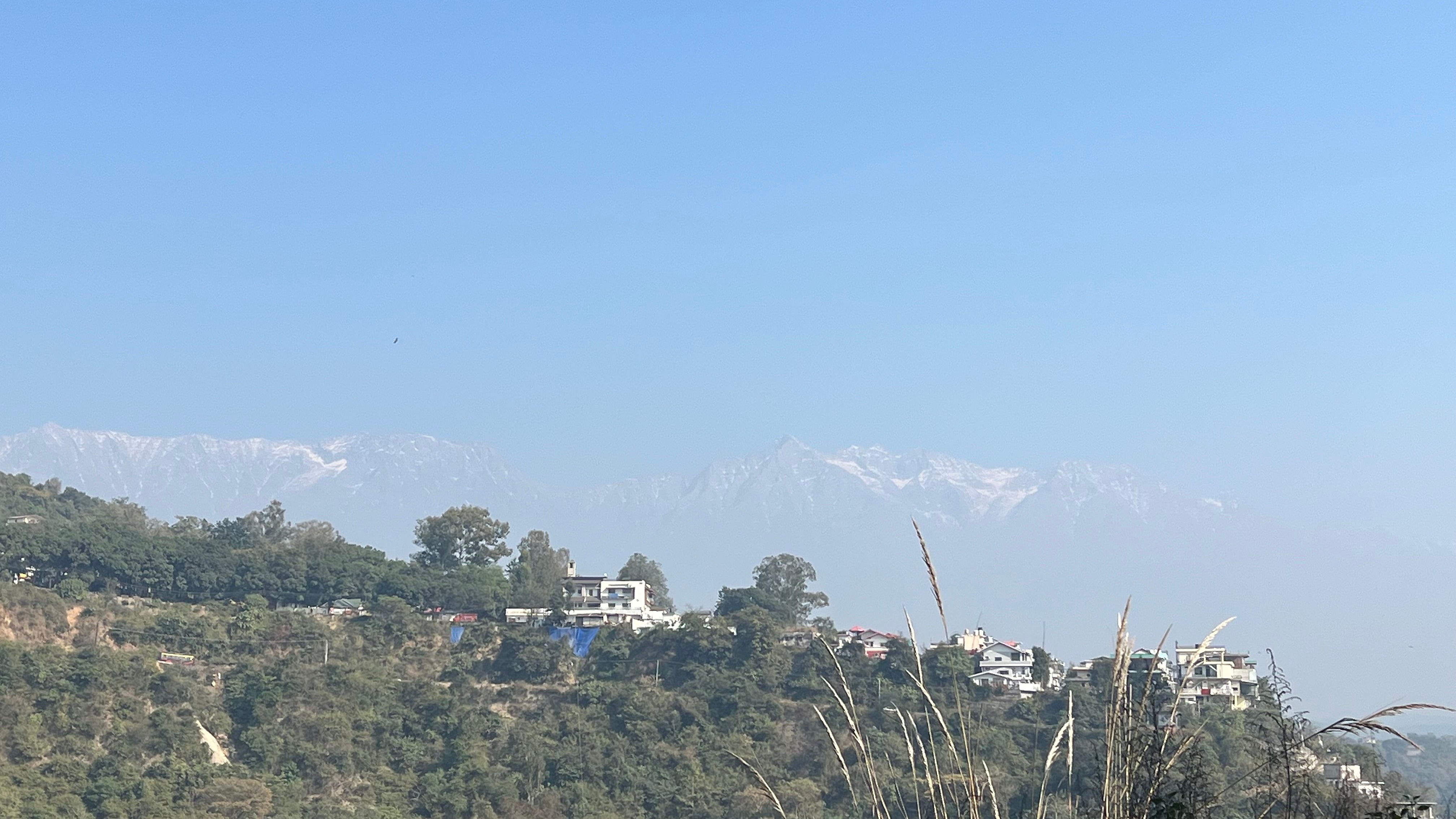 Photos of The Baghban Hotel and Resort - Resort in Baddi