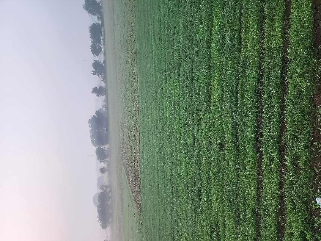 Mandav Hills Resort 𝗕𝗢𝗢𝗞 Mandu Hotel 𝘄𝗶𝘁𝗵 𝗙𝗥𝗘𝗘 𝗖𝗮𝗻𝗰𝗲𝗹𝗹𝗮𝘁𝗶𝗼𝗻