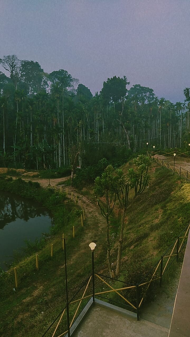 The Hosteller Coorg Rainforest, Madikeri 𝗕𝗢𝗢𝗞 Coorg Hostel 𝘄𝗶𝘁𝗵 𝗙𝗥𝗘𝗘 ...