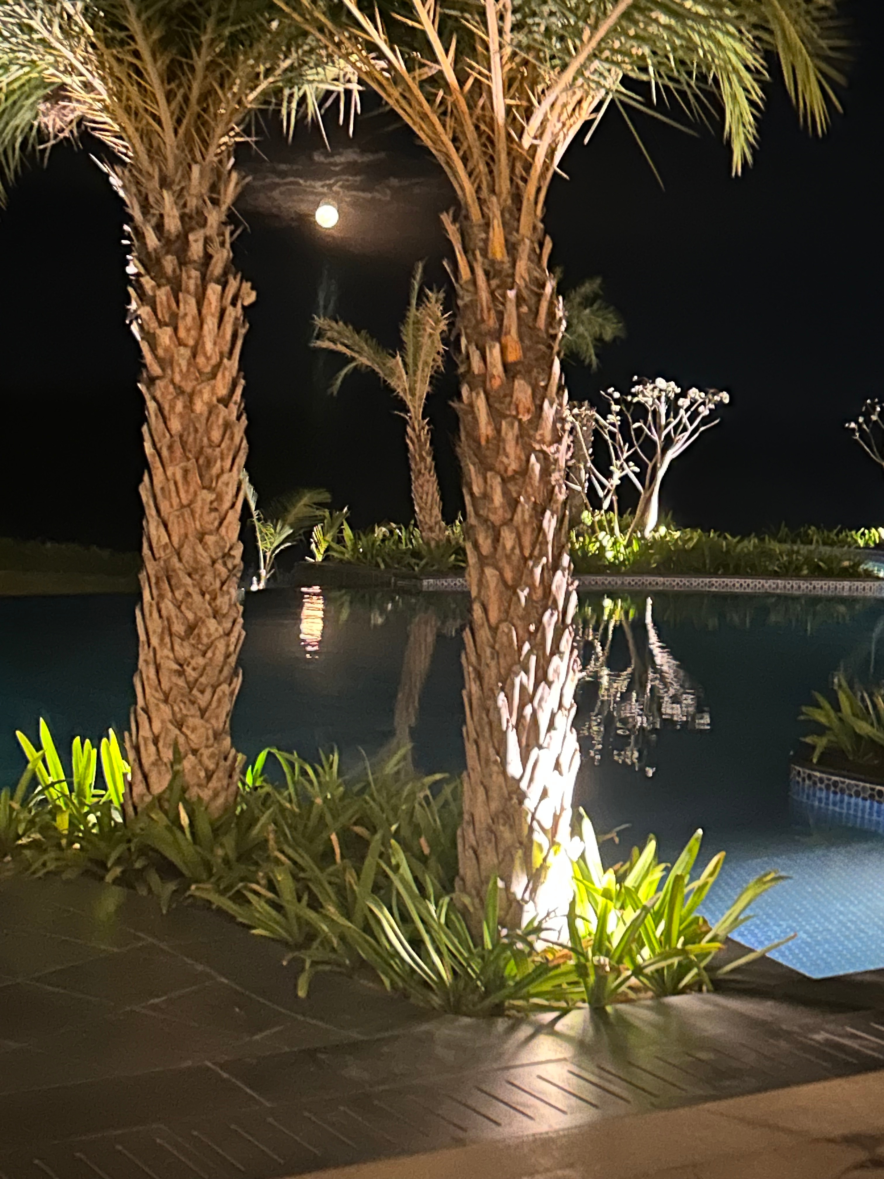 Mementos by ITC Hotels Ekaaya Udaipur 𝗕𝗢𝗢𝗞 Udaipur Hotel 𝘄𝗶𝘁𝗵 ₹𝟬 𝗣𝗔𝗬𝗠𝗘𝗡𝗧