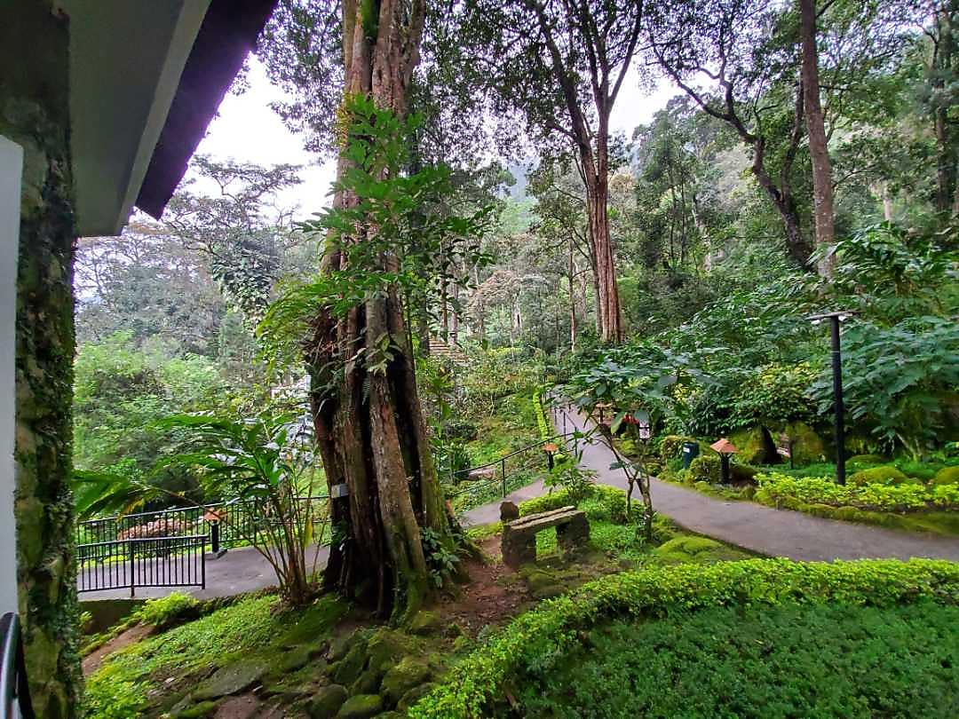Tall Trees Resort Munnar Resort Price, Address & Reviews