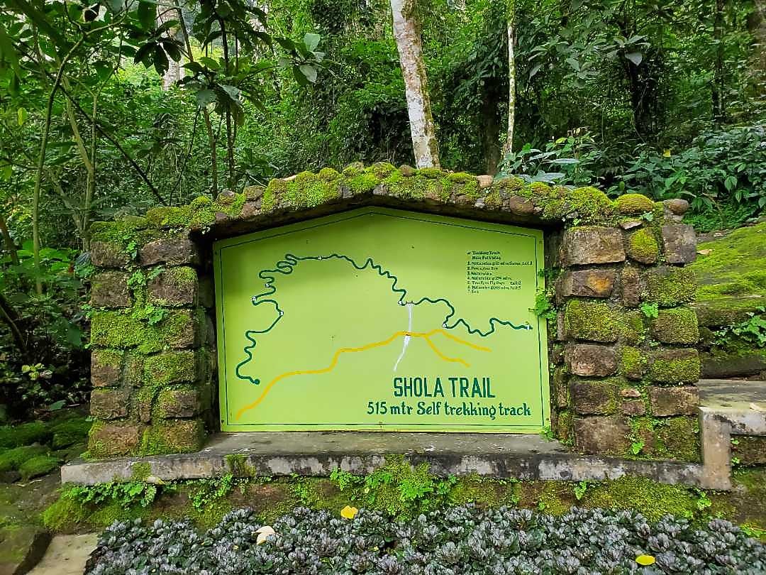 Tall Trees Resort Munnar Resort Price, Address & Reviews