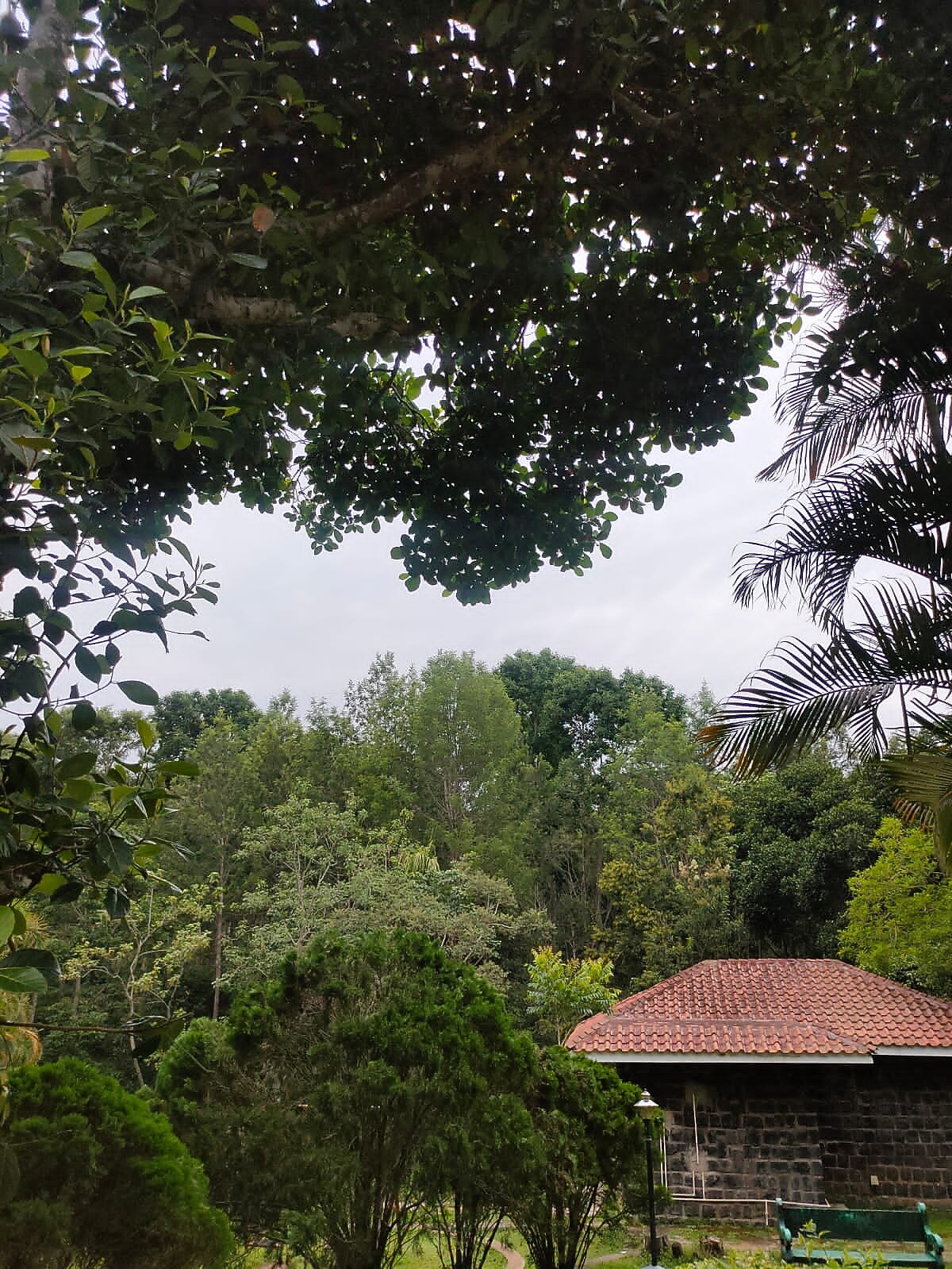 Grange Resort Best Rates on Yercaud Hotel Deals, Reviews & Photos