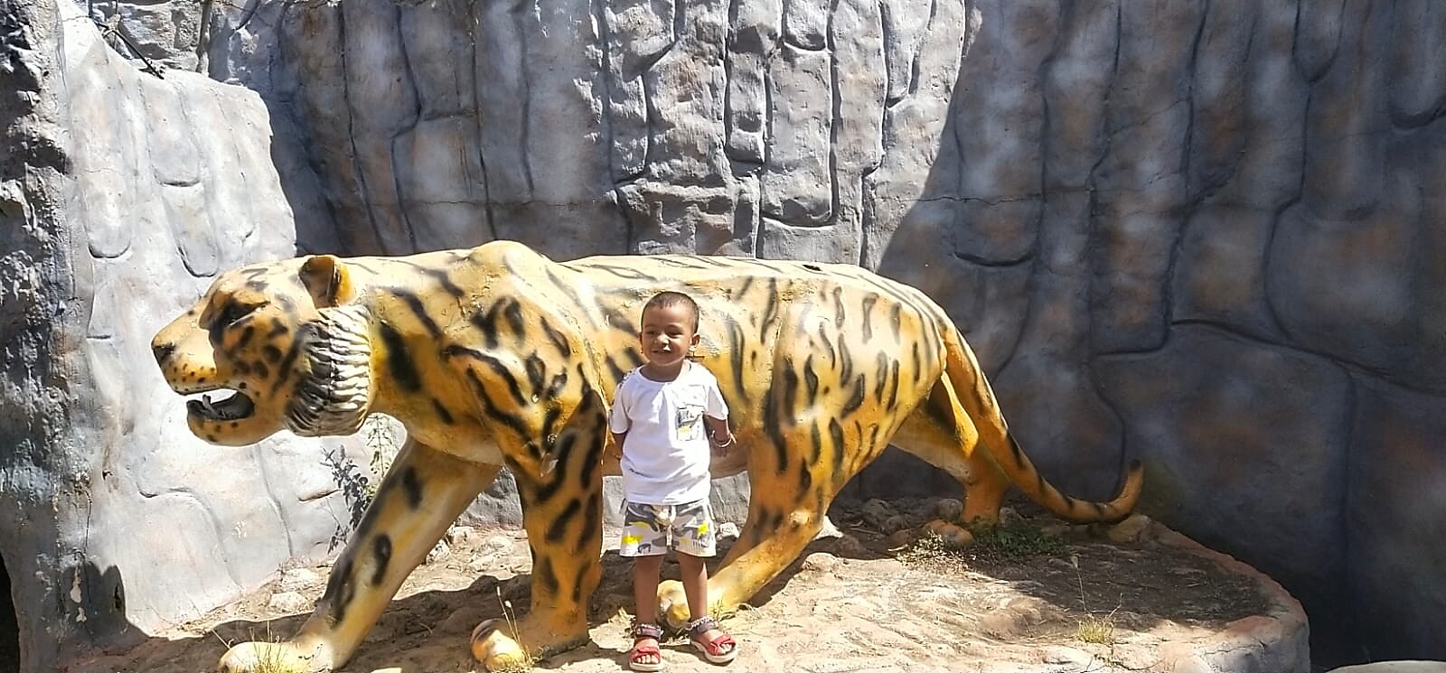 Reviews of Bandipur Khans resort & Gufa restaurant - Resort in Bandipur ...