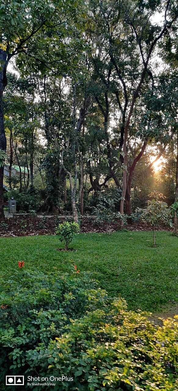 Siri Nature Roost Chikmagalur Resort Price, Address & Reviews