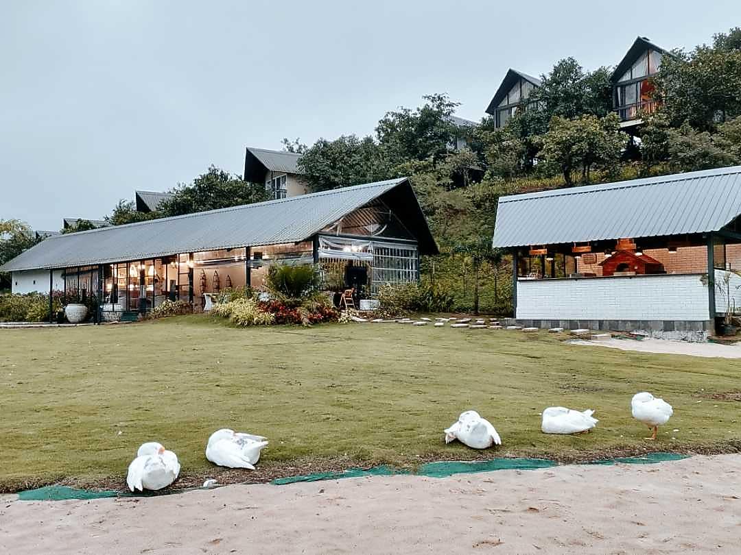 Canary Islands Resort & Spa Lonavala | Lonavala Resort BOOK @ ₹1