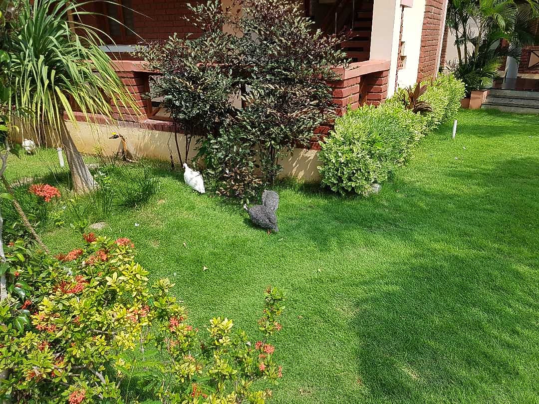 GS Resorts Best Rates on Velankanni Hotel Deals, Reviews & Photos