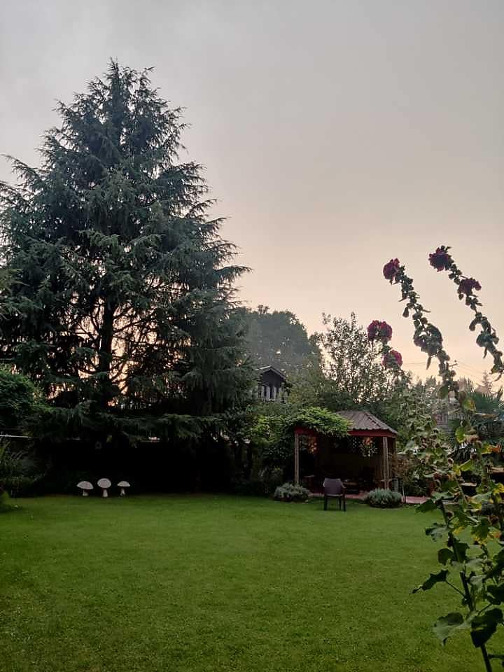 The Cottage Nigeen | Rooms & Caretaker 𝗕𝗢𝗢𝗞 Srinagar Cottage 𝘄𝗶𝘁𝗵 𝗙𝗥𝗘𝗘 ...