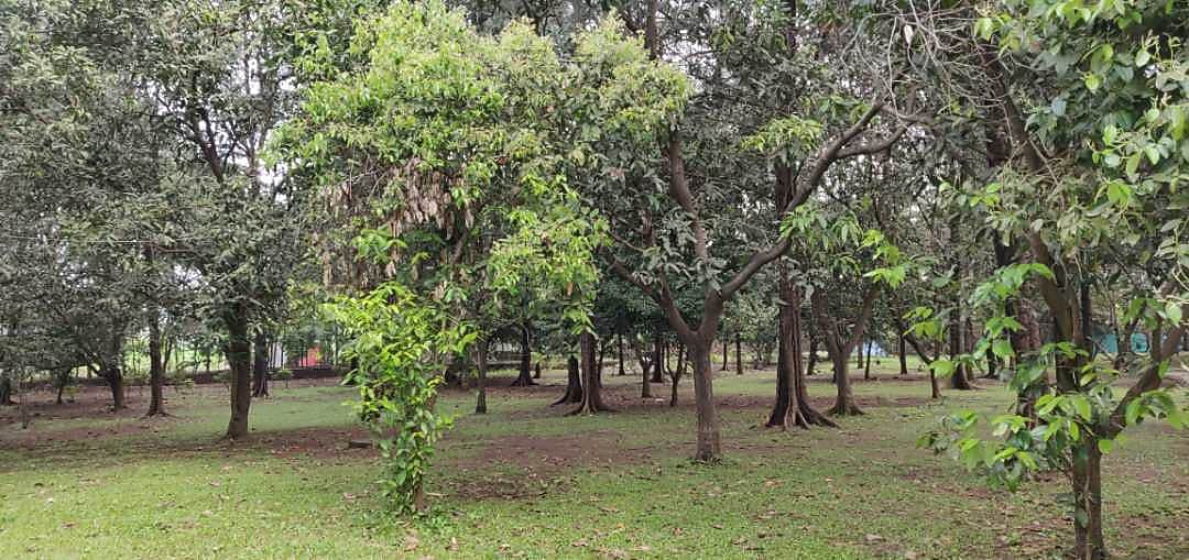 Pinewood Resort Best Rates on Karjat Hotel Deals, Reviews & Photos