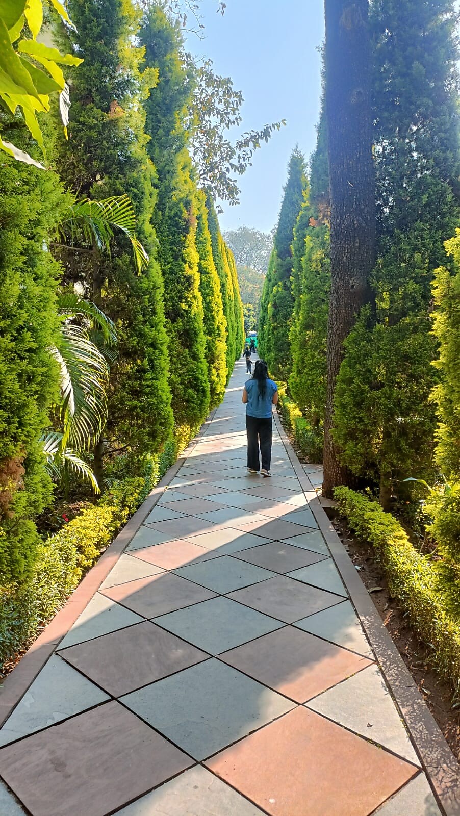 WelcomHeritage Golf View 𝗕𝗢𝗢𝗞 Pachmarhi Resort 𝘄𝗶𝘁𝗵 𝗙𝗥𝗘𝗘 𝗖𝗮𝗻𝗰𝗲𝗹𝗹𝗮𝘁𝗶𝗼𝗻