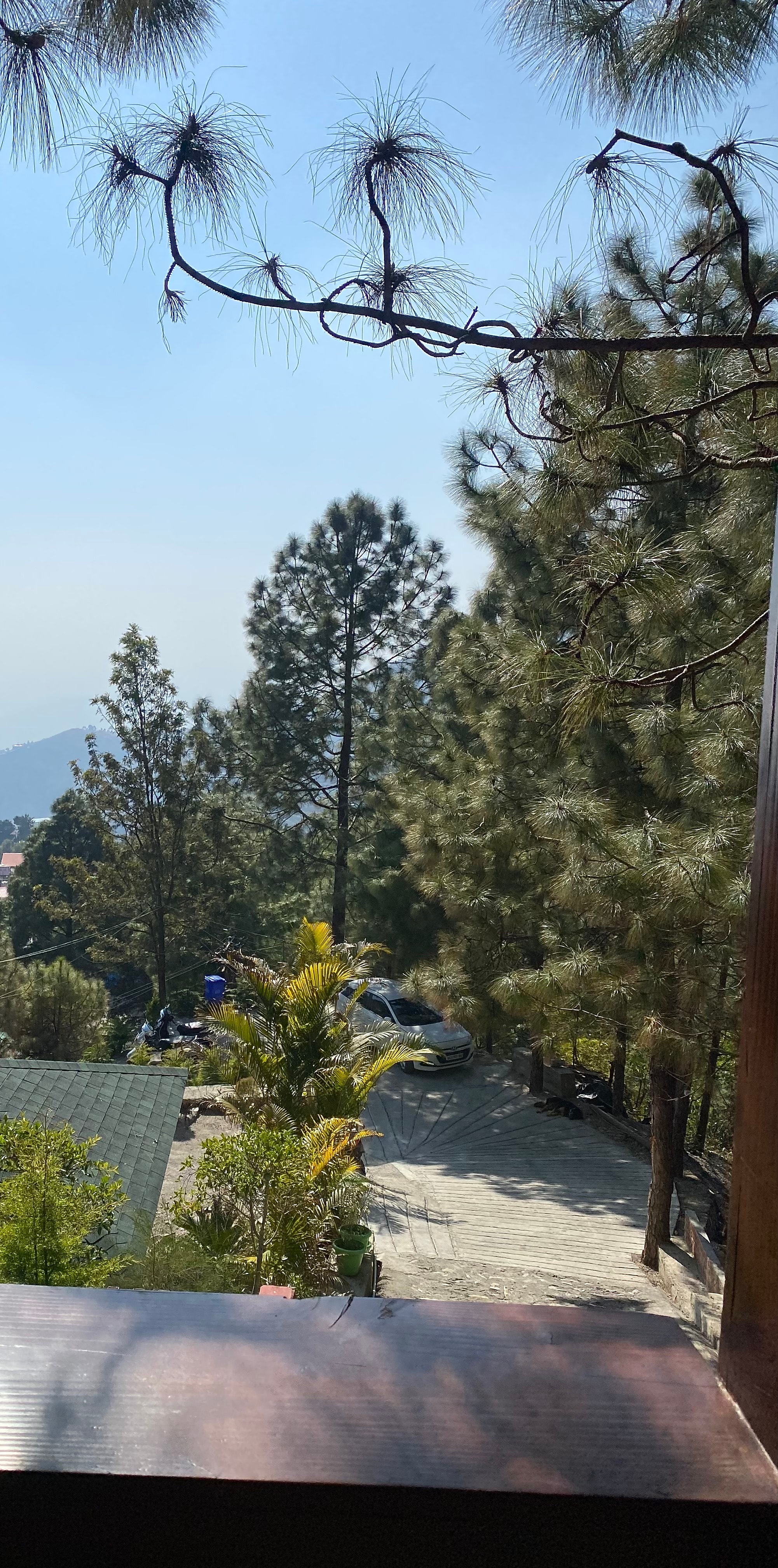 Srivasa- Tranquility Treehouse Retreat, Mussoorie 𝗕𝗢𝗢𝗞 Mussoorie ...